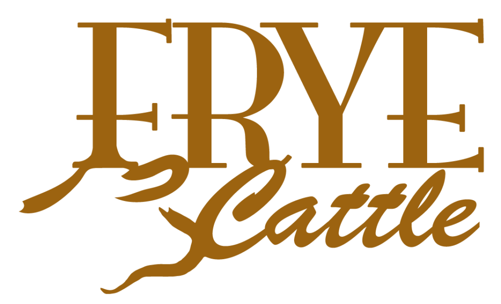 Sales | Frye Cattle